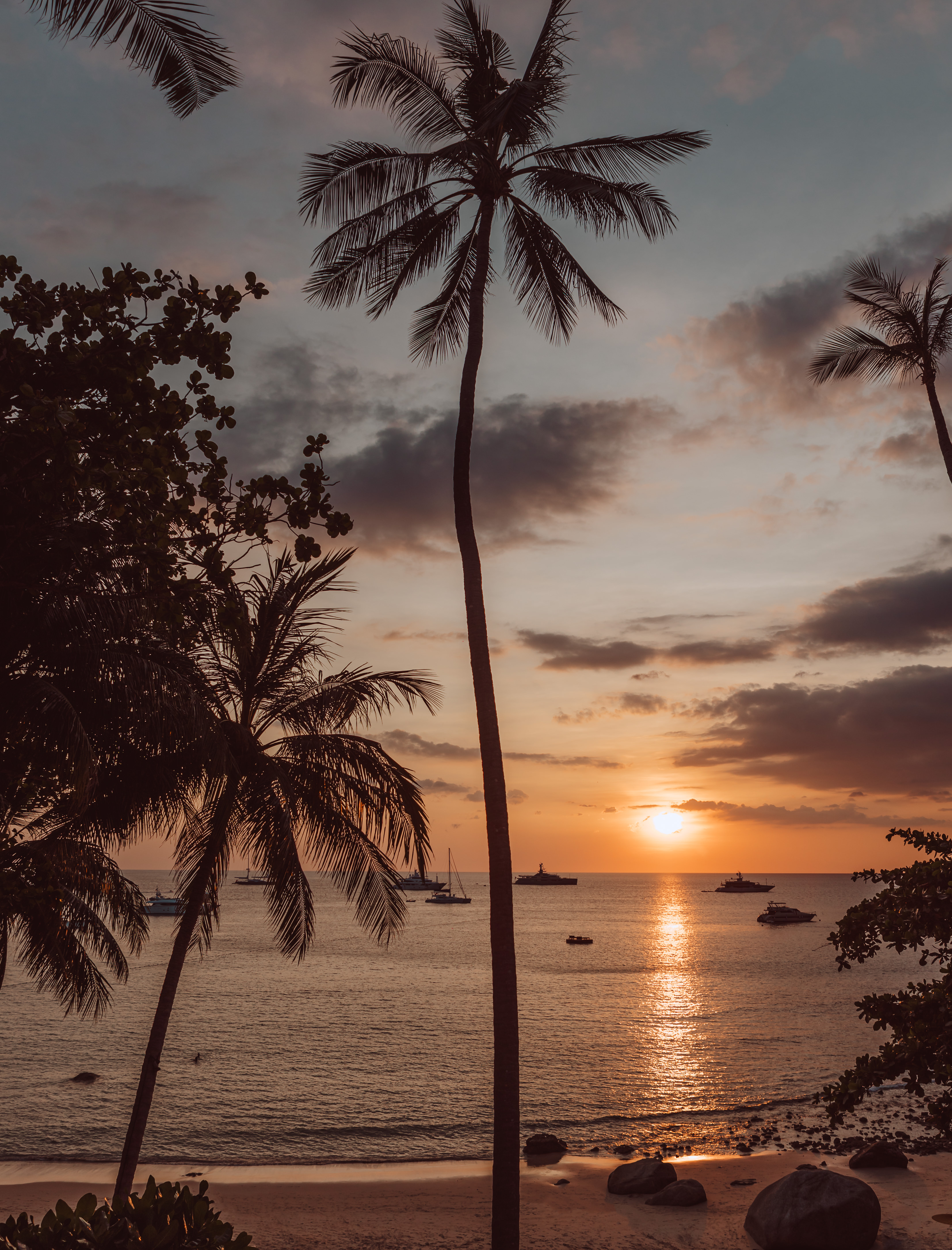 Leadership Team - Aman