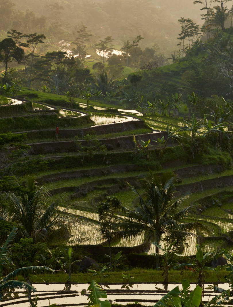 Amanjiwo - Hotel & Resort in Java, Indonesia - Aman