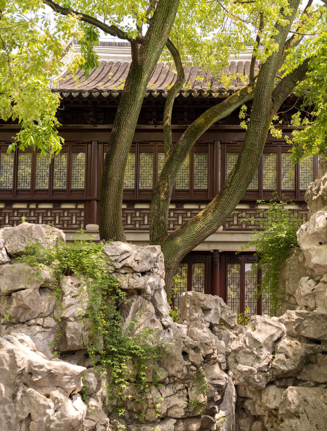 Amanyangyun - Luxury Resort & Hotel in Shanghai, China - Aman