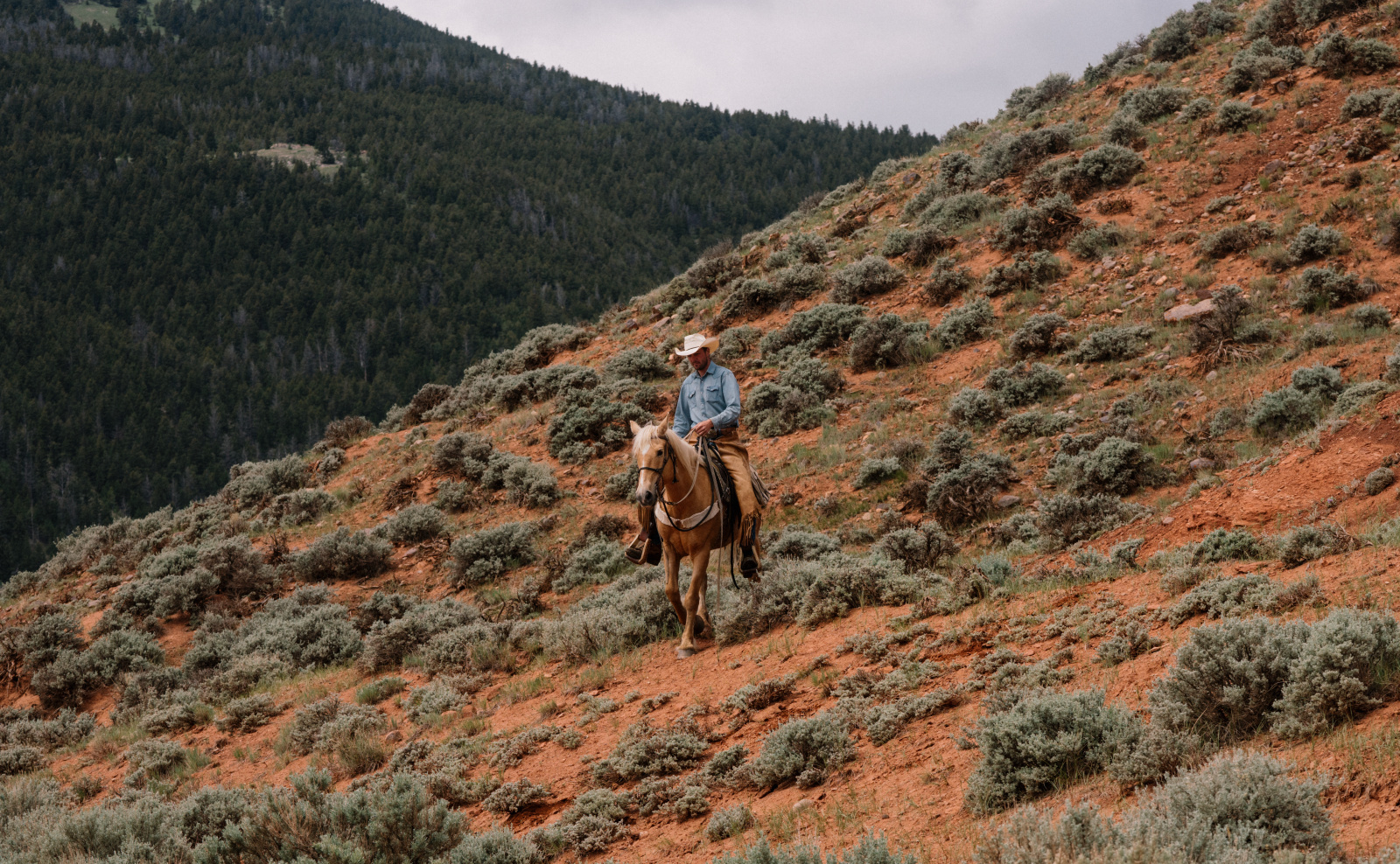 Luxury Hotel & Resort in Jackson Hole, Wyoming - Amangani