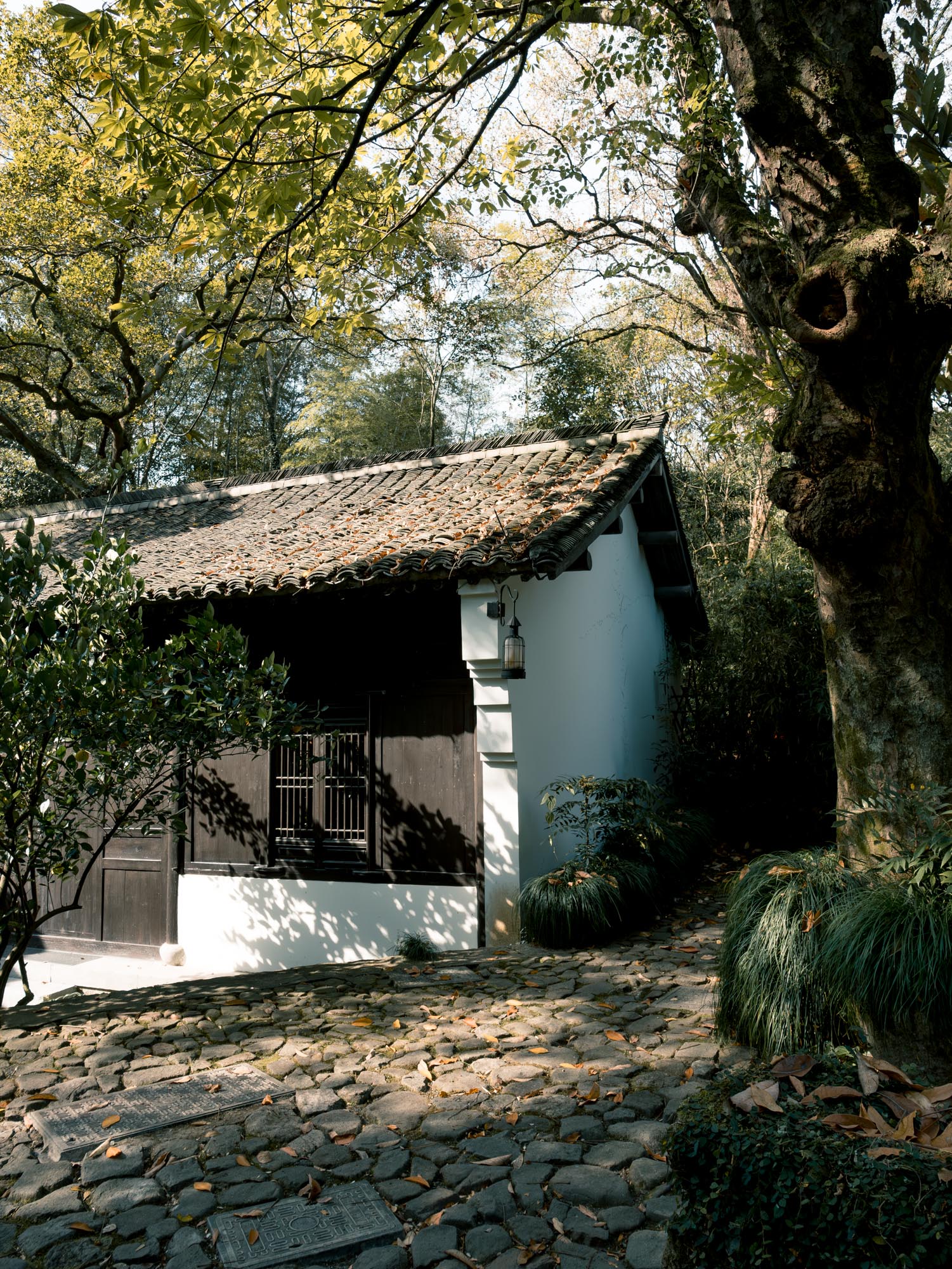 Uncovering the City of Heaven - Aman