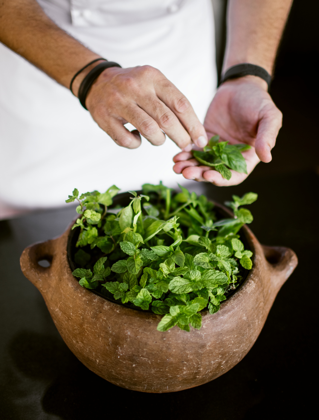 Sustainability at Amanyara - Aman