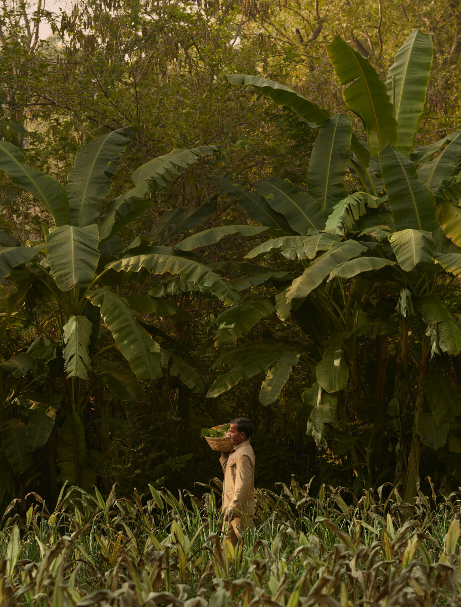Into the Wilderness - Aman Camps & Wildlife Safaris