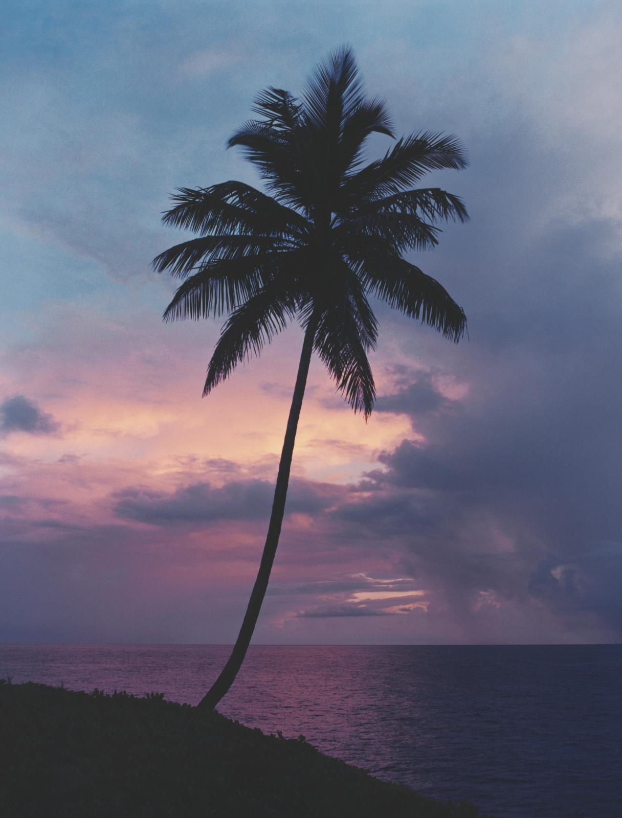 Aman Resorts, Hotels & Residences – Explore Luxury Destinations