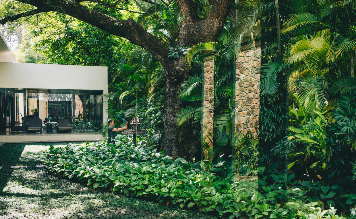 Luxury Siem Reap Resort Offers & Exclusives - Amansara