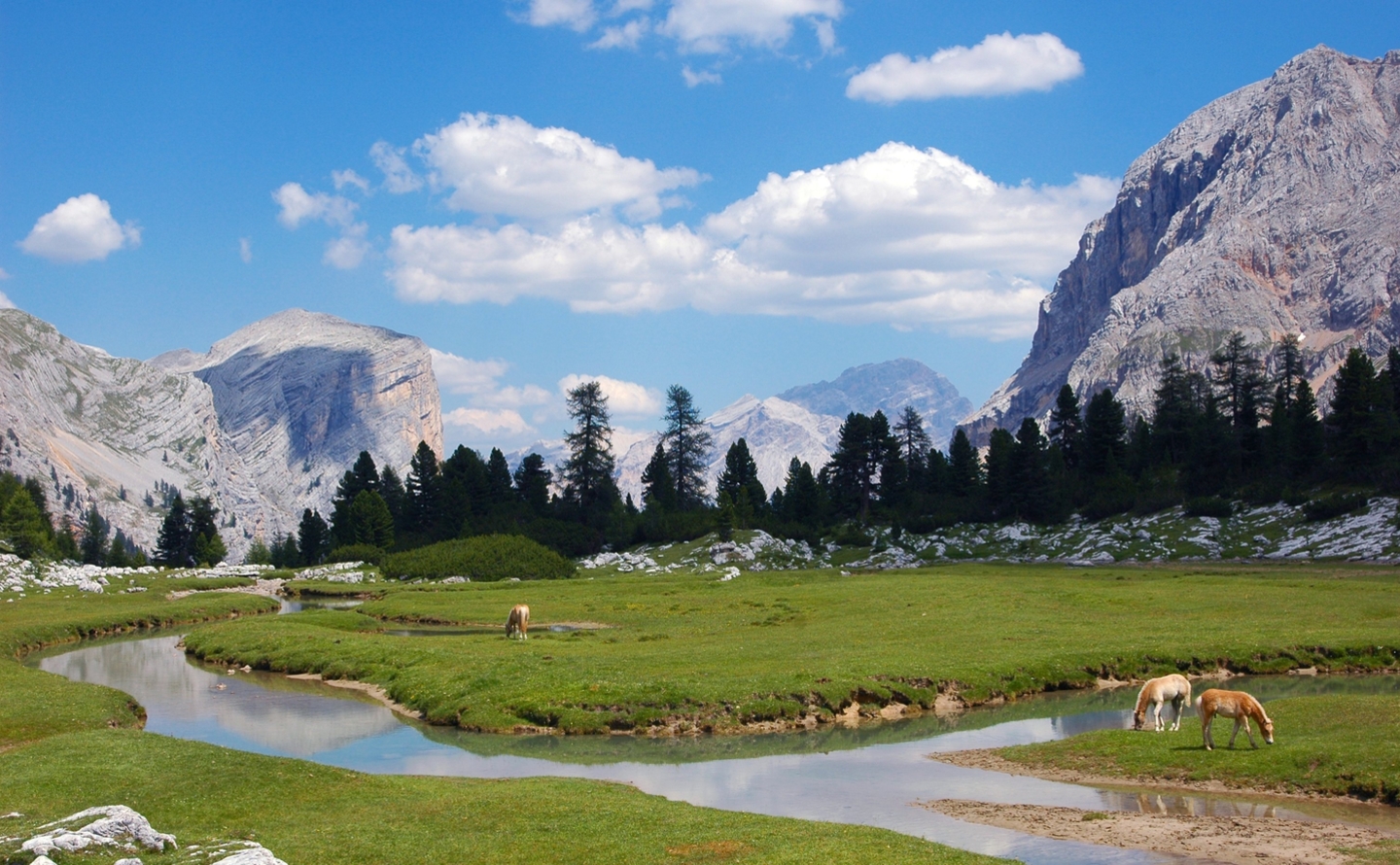 Experiences at Aman Rosa Alpina | Aman