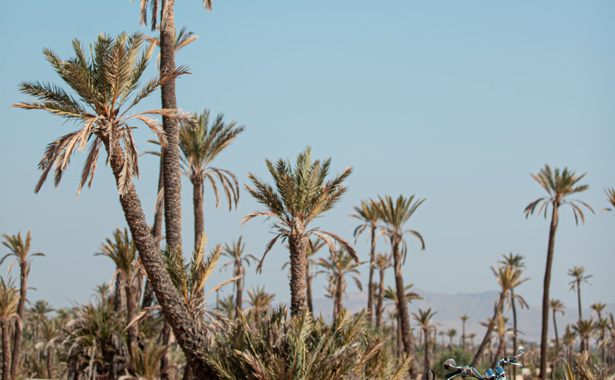 Amanjena Gallery - Explore Our Luxury Marrakech Resort - Aman