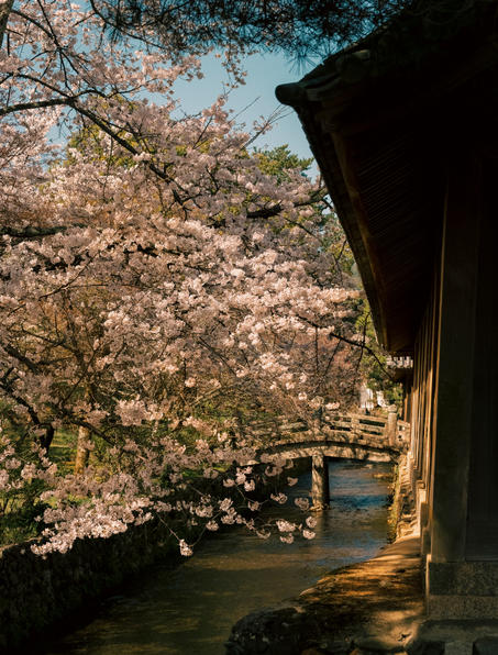 Aman Kyoto Gallery - Luxury Accommodation in Japan - Aman